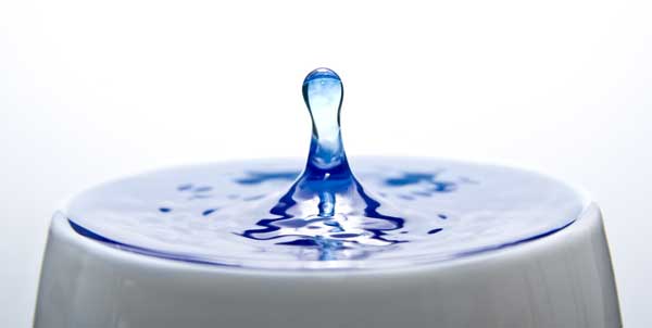 Stunning High Speed Photography Shots