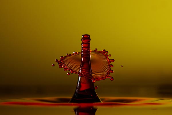 Stunning High Speed Photography Shots