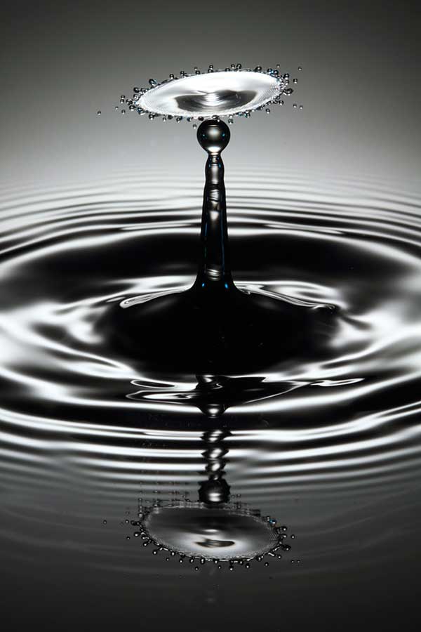 Stunning High Speed Photography Shots