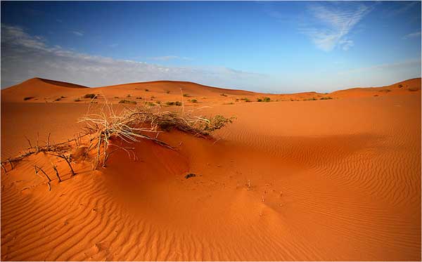 Understanding the UV Filter