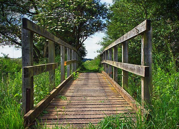Linear Perspective Photography Linear Perspective Photography